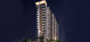 Merino a Global Brand and its Inception in India | WFM Media