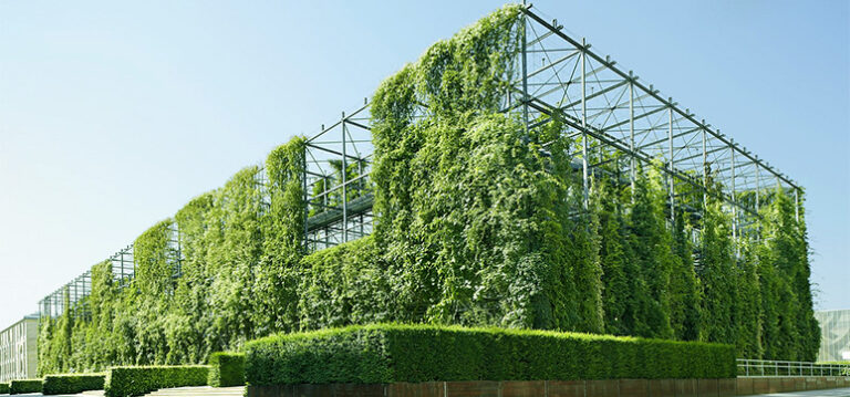 Green Facades: Sustainable Architecture for Urban Environment