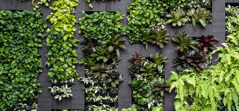 Vertical Greenery Systems – Fire Safety Implications & Compliance Routes
